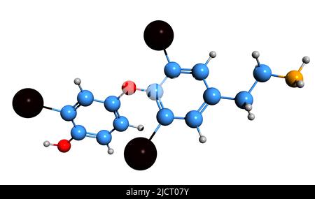 Thyroxine molecule, chemical structure. Thyroid gland hormone that ...
