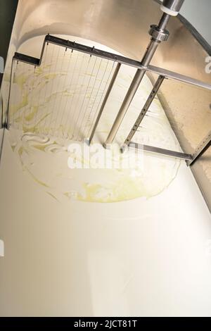 Artisan production of cheese, curd cutting and whey in the factory's ...