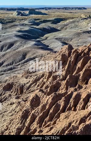 Landscape, panorama of erosive multi-colored clay in Petrified Forest ...
