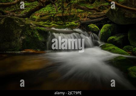Jedlova creek in Jizerske mountains in spring cloudy morning Stock ...