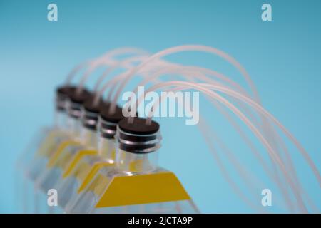 Experience with bacteria to obtain enzymes. cell culture flasks with ...