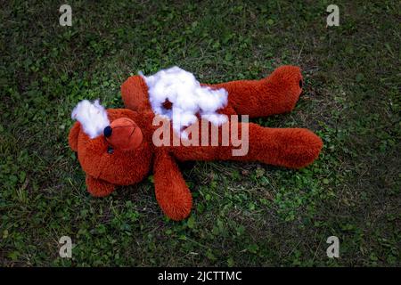 destroyed stuffed teddy bear lying on the floor outdoors Stock Photo ...