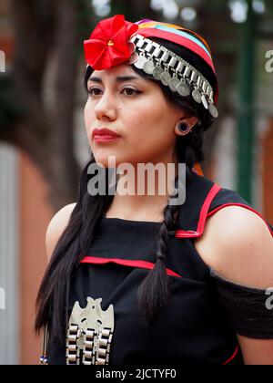 Portrait of a Mapuche girl when a hundred indigenous women from 20 ...