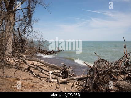 The Lake Erie shoreline in springtime at Point Pelee National Park in ...