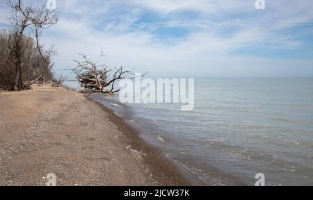 The Lake Erie shoreline in springtime at Point Pelee National Park in ...