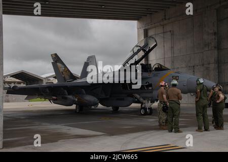 Sailors inspect an E/A-18G Growler, attached to the "Gray Wolves" of ...