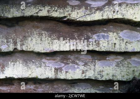 A Traditional Australian Slab hut These huts were constructed by early ...