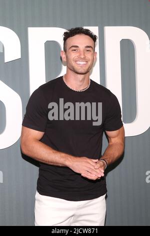 New York, NY - June 15, 2021: Governor Cuomo gives awards of ...