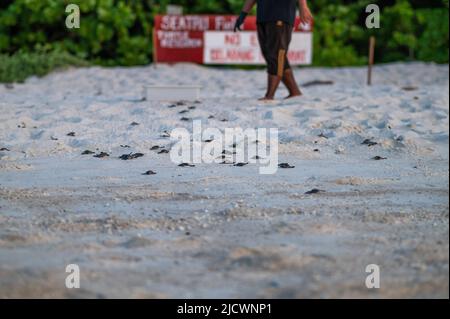Redang Island Beach located at Terengganu state of Malaysia Stock Photo ...