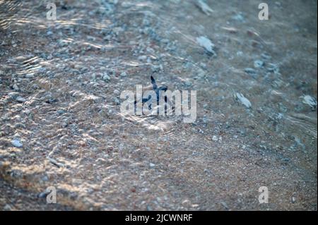 Redang Island Beach located at Terengganu state of Malaysia Stock Photo ...