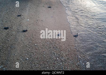 Redang Island Beach located at Terengganu state of Malaysia Stock Photo ...
