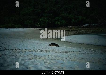 Redang Island Beach located at Terengganu state of Malaysia Stock Photo ...
