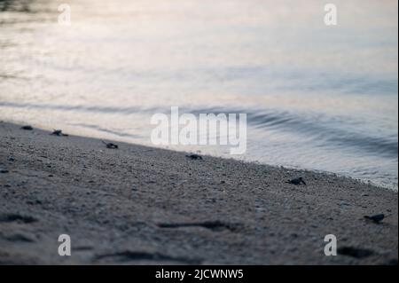 Redang Island Beach located at Terengganu state of Malaysia Stock Photo ...