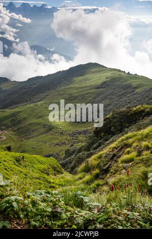 The Khaliya Top is a meandering meadow surrounded by snowy peaks ...