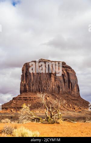 Classic southwest desert landscape under a blue sky and bright sun in ...