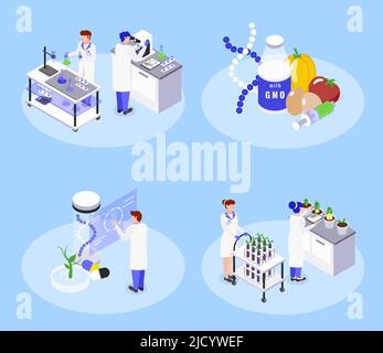 Bio engineering concept 4 isometric icons with genetically modified food gmo biotechnology ...