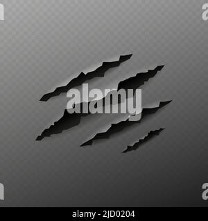 Realistic claw rip slash pattern on transparent background. Vector ...