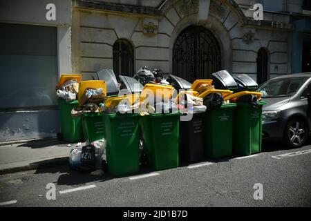 The streets of Paris have been littered with rubbish bins since the ...