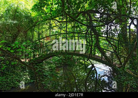 Curved wooden bridge in Dennenlohe Castle Park, Middle Franconia ...