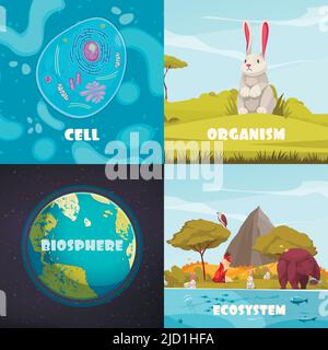 Biological hierarchy 2x2 cartoon compositions of cell organism ...