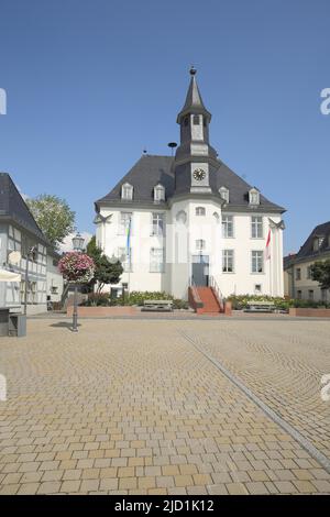 Germany, Hesse, Taunus, Usingen, city hall fountain with lion, partner ...