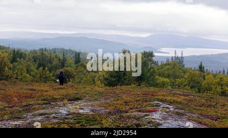 Lierne National Park in Tröndelag, Norway, is situated not far from the ...