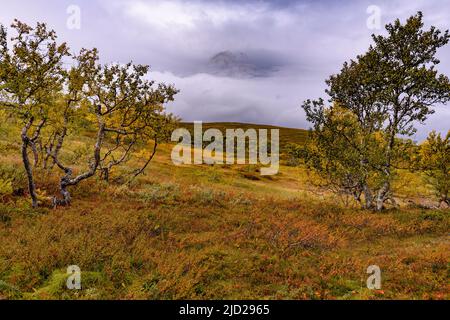 Lierne National Park in Tröndelag, Norway, is situated not far from the ...