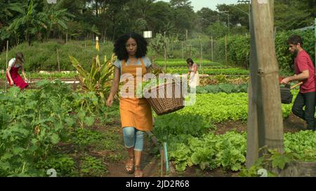 People growing communitarian agriculture at small farm. Person using ...
