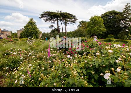 Packington Hall pictured on an open day in the summer. Packington Hall ...