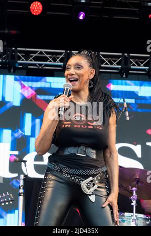Debbie Sledge, of Sister Sledge performing at the Soultasia music ...