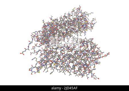 Rhodopsin molecule, illustration Stock Photo - Alamy