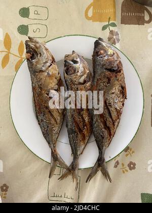 Photo of fried tamarong, matambaka, mackerel scad or decapterus ...