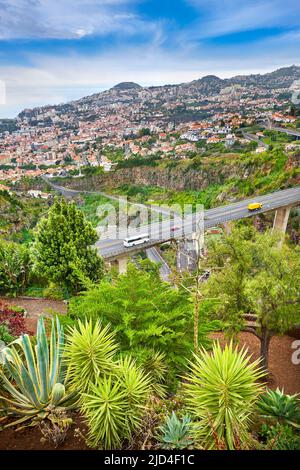 Funchal, Madeira. View from an elevated point of view over the houses ...