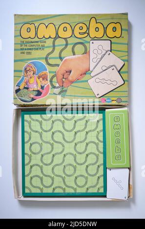 Amoeba, computer illustration Stock Photo - Alamy