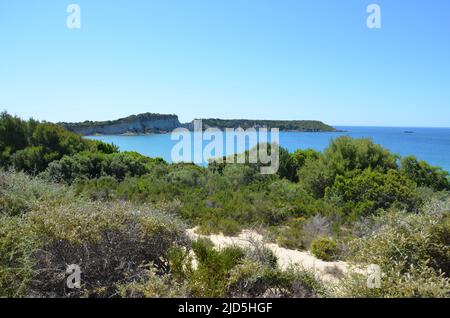beautiful landscape with plants, sand and the Ionian sea in background ...
