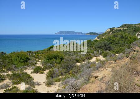 beautiful landscape with plants, sand and the Ionian sea in background ...