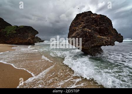 The rocks formation on the beach of Bathsheba, East coast of island ...
