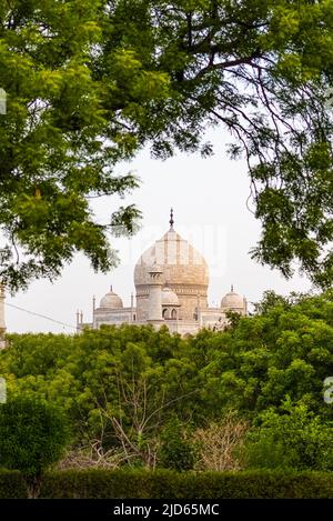 View of Taj Mahal under a tree Stock Photo - Alamy