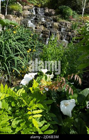 Beautiful settings at Regents park in London,UK Stock Photo - Alamy