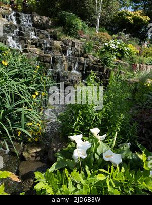 Beautiful settings at Regents park in London,UK Stock Photo - Alamy