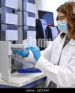 Archaeology researchers in laboratory reconstruct ancient tools Stock ...