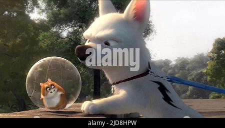 RHINO, BOLT, 2008 Stock Photo - Alamy
