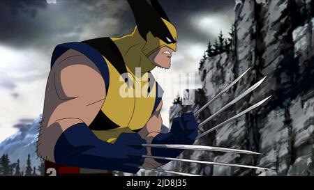 HULK,WOLVERINE, HULK VS. WOLVERINE, 2009 Stock Photo - Alamy