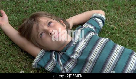 ELLAR COLTRANE, BOYHOOD, 2014 Stock Photo - Alamy