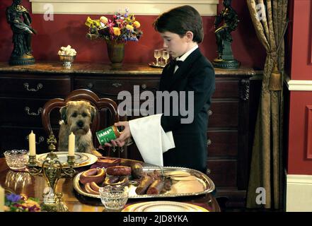 HUBBLE,AIKEN, GOOD BOY!, 2003 Stock Photo - Alamy