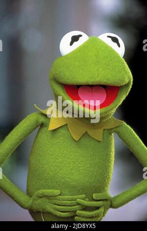 KERMIT, KERMIT'S SWAMP YEARS, 2002 Stock Photo - Alamy