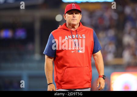 Los Angeles Angels interim manager Ray Montgomery looks on from the ...