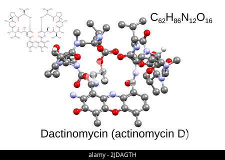 Dactinomycin cancer chemotherapy drug, Structural chemical formula ...