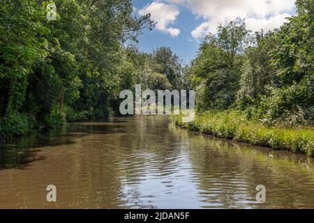 Stack pools in Springfield park, Kidderminster, Worcestershire, England ...