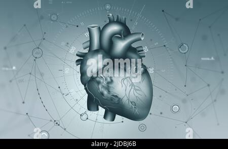 Human heart. Digital technologies in medicine and scientific research ...